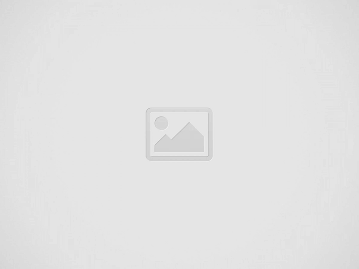 ¿Cuáles son las diferencias entre una importación definitiva y una ...