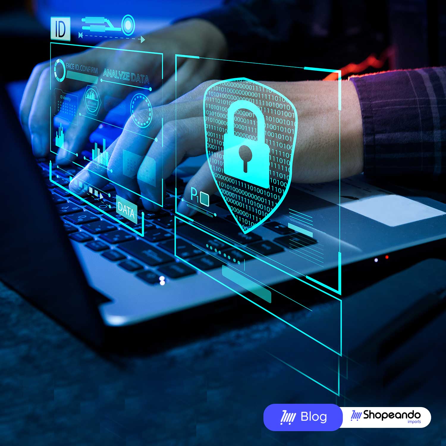 Protección de datos y privacidad en el comercio electrónico transfronterizo - Shopeando.mx