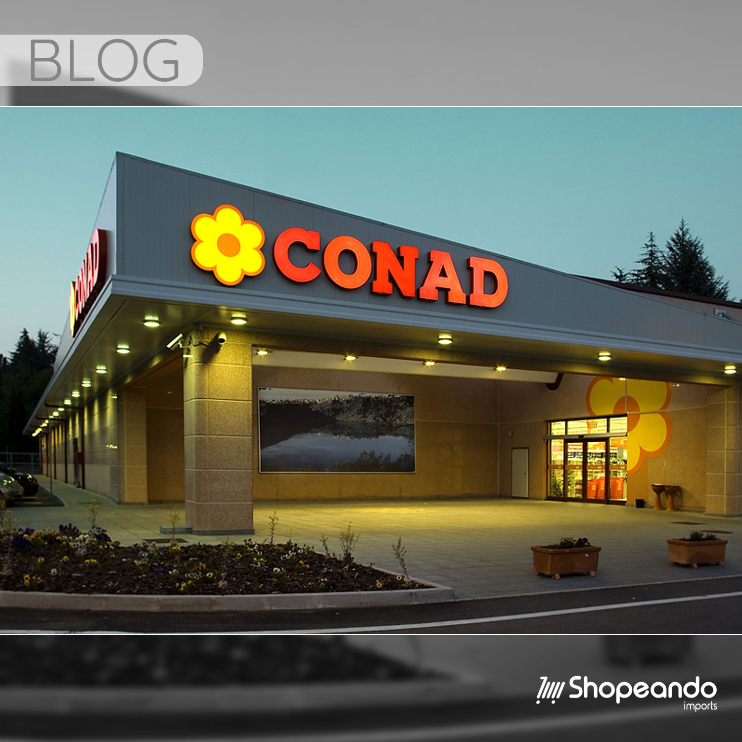 ¿Cómo comprar en Conad desde México? - Shopeando.mx