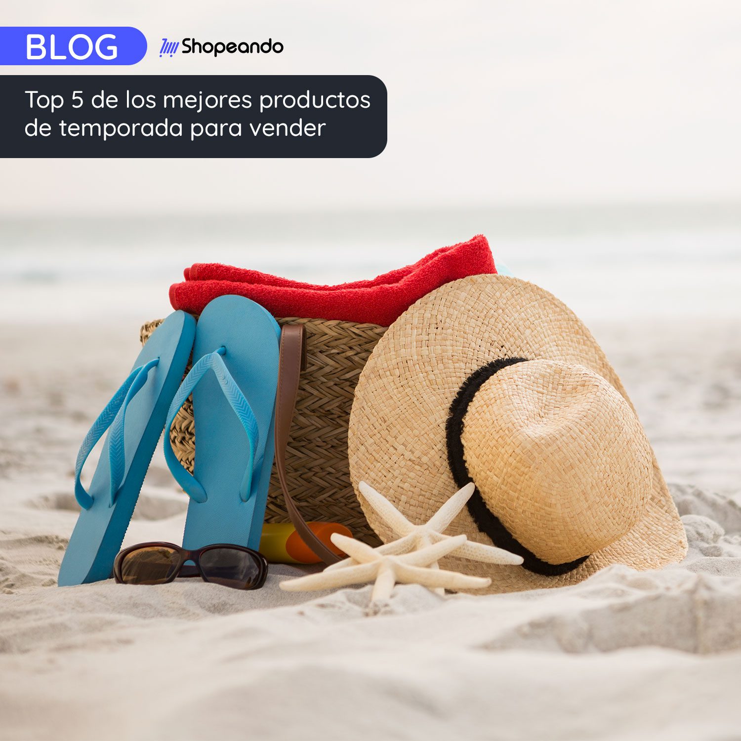 Los 5 Mejores Productos De