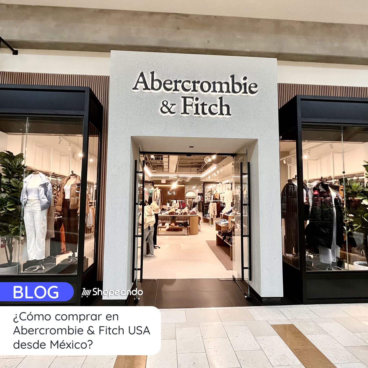 ¿Cómo comprar en Abercrombie & Fitch USA desde México? - Shopeando.mx